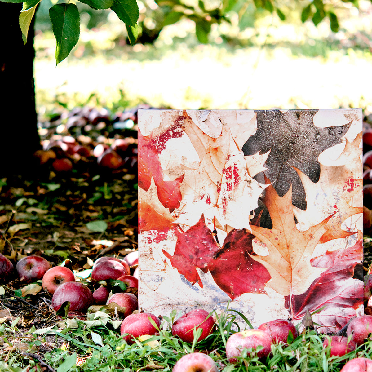 Fall Ink IX' Wrapped Canvas Wall Art – Ready2HangArt